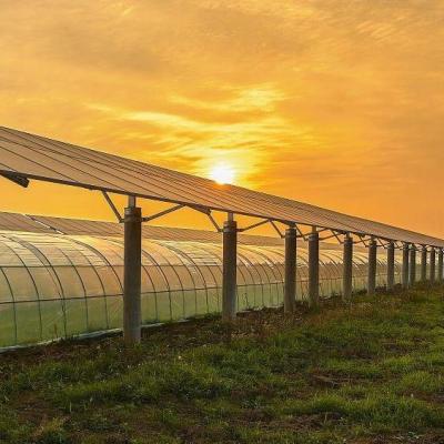 Cina Serra a rivestimento a più strati per l'energia solare 2000.000kg Peso lordo del pacchetto in vendita