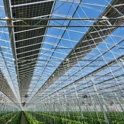 Cina Serra a rivestimento a più strati per l'energia solare 2000.000kg Peso lordo del pacchetto in vendita