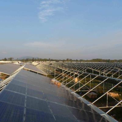 Cina Serre fotovoltaiche commerciali innovative a una o più distanze per una crescita sostenibile in vendita