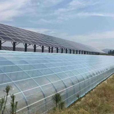Cina Serre fotovoltaiche commerciali innovative a una o più distanze per una crescita sostenibile in vendita