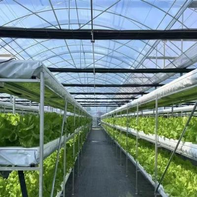 Cina Struttura in acciaio Multi-Span Plastic Greenhouse Package Dimensione 50,00cm * 60,00cm * 50,00cm in vendita