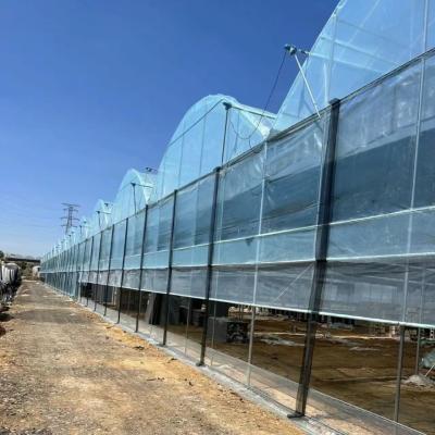 Cina Serra per produzione di ortaggi Po film con sistema di tubi d'acqua e basso costo di spedizione in vendita