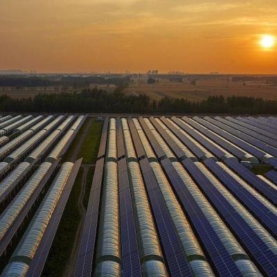 Cina Politica di restituzione di 30 giorni Soluzione per serra solare a più strati con design a doppio strato in vendita