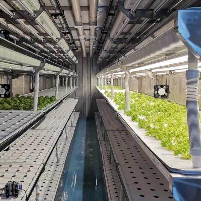 Cina Contenitore di spedizione serra per la coltivazione di funghi in progettazione intelligente JX-CG-0001 in vendita