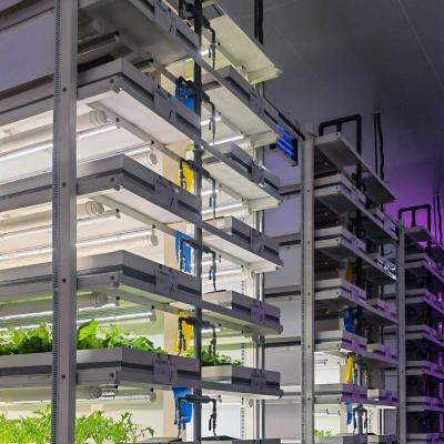 Cina Contenitore di spedizione serra per la coltivazione di funghi in progettazione intelligente JX-CG-0001 in vendita