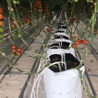 Cina Serra con contenitore verticale di coltivazione a lunghezza superiore con sistema di coltura del substrato in vendita