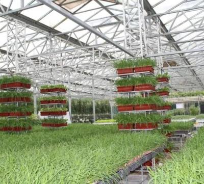 中国 多スパン湿度制御フィルム 野菜の温室 野菜の成長を最適化 販売のため
