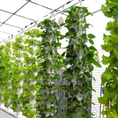 中国 多スパン湿度制御フィルム 野菜の温室 野菜の成長を最適化 販売のため