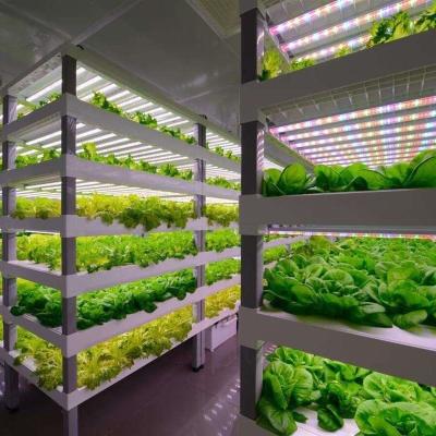 Cina Container per l'allevamento di pesci per trasporto verticale con serre agricole multi-span in vendita