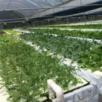 Cina Serra idroponica a pellicola Po/PE per verdure a doppio strato in vendita