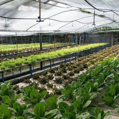 Cina Serra idroponica a pellicola Po/PE per verdure a doppio strato in vendita