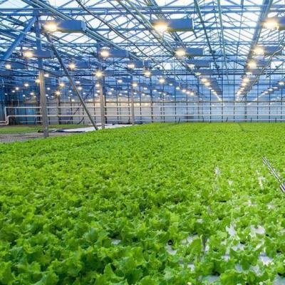 Cina Tecnologia senza suolo e riscaldamento temporaneo in vendita
