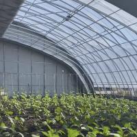 China Customizable Vegetable Film Hydroponics Greenhouse System for Multi-Span Efficiency for sale