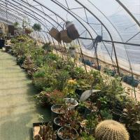 China Customizable Vegetable Film Hydroponics Greenhouse System for Multi-Span Efficiency for sale