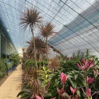 China Customizable Vegetable Film Hydroponics Greenhouse System for Multi-Span Efficiency for sale