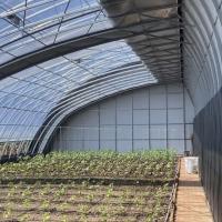 China Customizable Vegetable Film Hydroponics Greenhouse System for Multi-Span Efficiency for sale