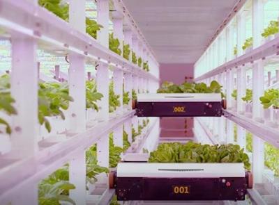 China Jardim de contêineres de frutas e vegetais com telhado em forma e opção de personalização à venda