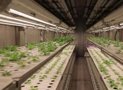 China Jardim de contêineres de frutas e vegetais com telhado em forma e opção de personalização à venda