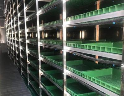 Cina Contenitore portatile per la spedizione di verdure a foglia in acciaio per materiali da costruzione in vendita