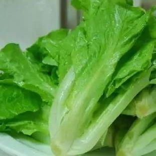 中国 多スパンコンテナ温室 JX-CG-12 あなたの予算内にある葉野菜のために 販売のため