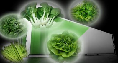 Cina Juxiang 40hq Reefer Container Greenhouse Costo di spedizione e tempo di consegna stimato in vendita