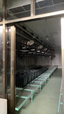 Cina Juxiang 40hq Reefer Container Greenhouse Costo di spedizione e tempo di consegna stimato in vendita