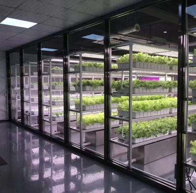 Cina Dipartimento Spedizioni Container Serra Soluzione di illuminazione a LED per la coltivazione di ortaggi in vendita