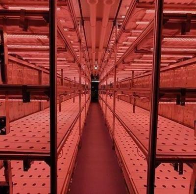 Cina Materiale di copertura in acciaio Sistema di contenitori per agricoltura verticale idroponica per tetti a forma in vendita