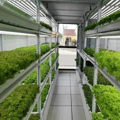 Cina Materiale di copertura in acciaio Sistema di contenitori per agricoltura verticale idroponica per tetti a forma in vendita