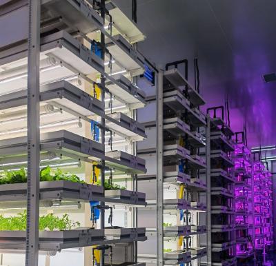 Cina Materiale di copertura in acciaio Sistema di contenitori per agricoltura verticale idroponica per tetti a forma in vendita