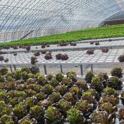 JX-A00230 Commercial Greenhouse for Sunlight Hydroponic Strawberry Flower Greenhouse