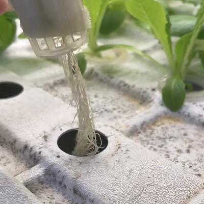 China Steel Structure Leafy Vegetable Container Greenhouse Roofing for Customer Requirements for sale