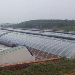 China Arched Roof Greenhouse The Ultimate Sunlight Solution for Tomato and Cucumber Farming for sale