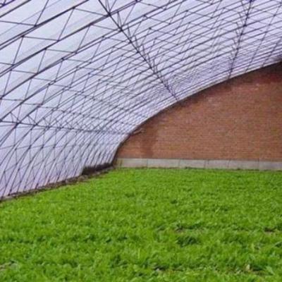 China Arched Roof Greenhouse The Ultimate Sunlight Solution for Tomato and Cucumber Farming for sale