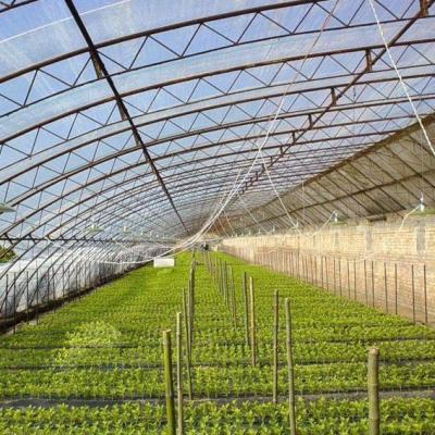 China 2000.000kg Tomato and Cucumber Cultivation Sunlight Greenhouse Solution with Arched Roof for sale