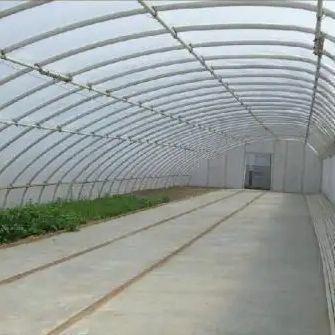China 2000.000kg Tomato and Cucumber Cultivation Sunlight Greenhouse Solution with Arched Roof for sale