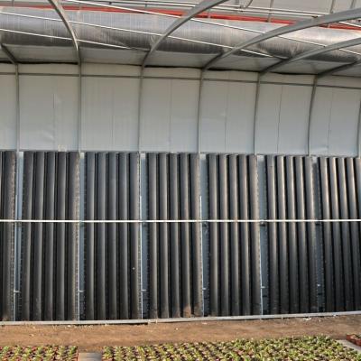 China 2000.000kg Tomato and Cucumber Cultivation Sunlight Greenhouse Solution with Arched Roof for sale