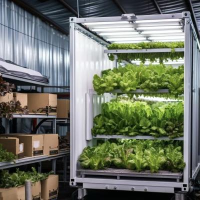 Cina Serra per contenitori di alveari per ortaggi a foglia Serra per contenitori intelligenti in vendita