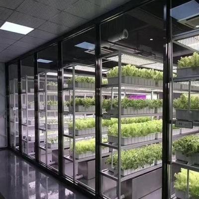 Cina Serra per contenitori di alveari per ortaggi a foglia Serra per contenitori intelligenti in vendita
