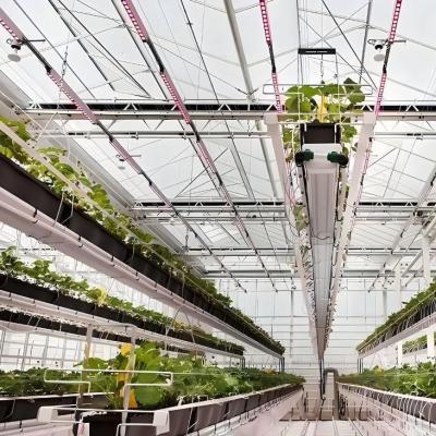 Cina 1209cm * 235cm * 239cm Contenitore agricolo verticale Serra con impianto idroponico in vendita