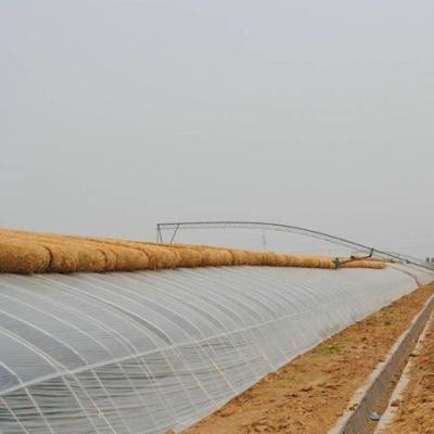 Cina Coltivazione di ortaggi avanzata Serra a luce solare 40HQ Contenitore Reefer per Superior in vendita