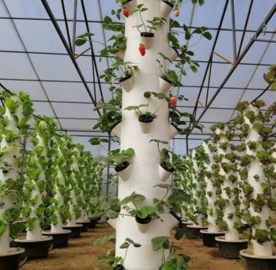 Cina Agricoltura verticale Contenitore di trasporto serra con idroponica e struttura in acciaio in vendita