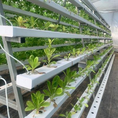 Cina Agricoltura verticale Contenitore di trasporto serra con idroponica e struttura in acciaio in vendita