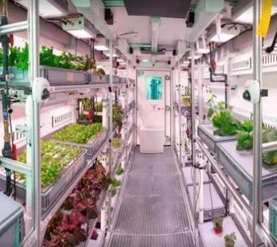 Cina Struttura in acciaio Sistema idroponico Contenitore serra per la soluzione di agricoltura verticale in vendita