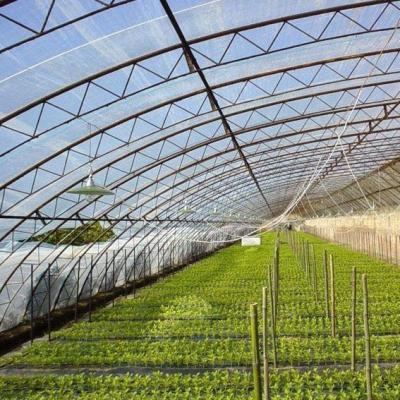 Cina Sistema di coltivazione di pomodori per 40HQ Reefer Container Shipping in vendita