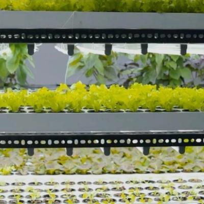 Cina Contenitore per agricoltura verticale idroponica in serra commerciale in vendita