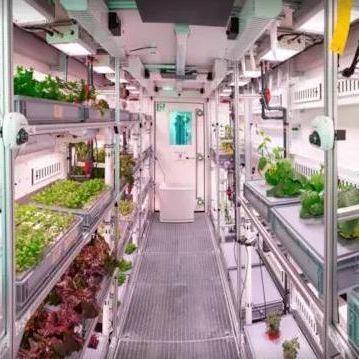 China Sistema hidropónico de vegetais Container Estufas para instalação de cultivo vertical JX-CG-103 à venda