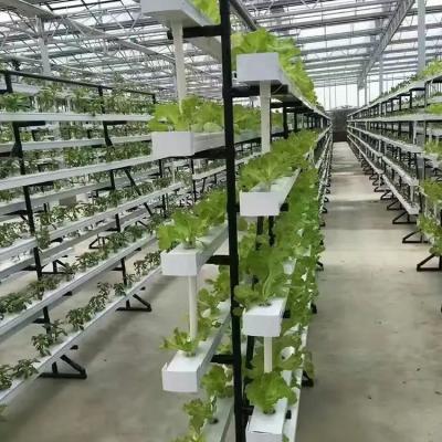 Cina Serra per agricoltura a grande contenitore verticale con copertura in acciaio e tecnologia idroponica in vendita