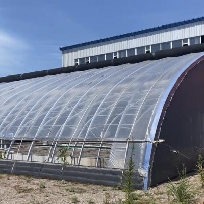 Cina Serra per coltivazione di pomodori a luce solare con costi di spedizione e design in vendita