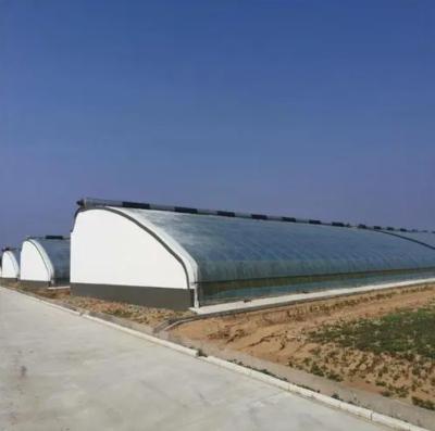 Cina Pacchetto Peso lordo 2000.000kg Serra leggera a luce solare per la coltivazione di ortaggi in vendita